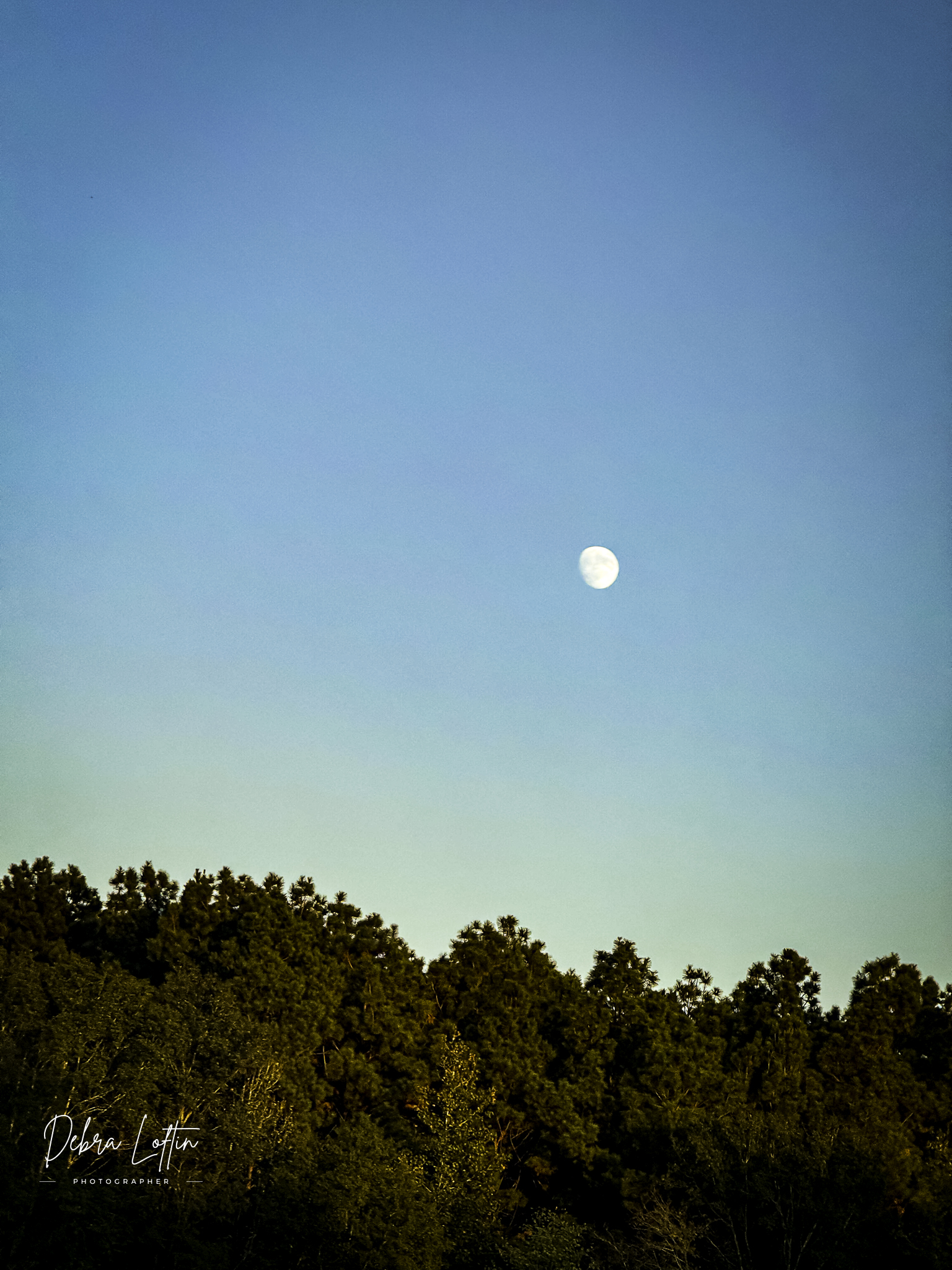 The Moonlight Highway – ©Beneath the Pines Photography by Nikki