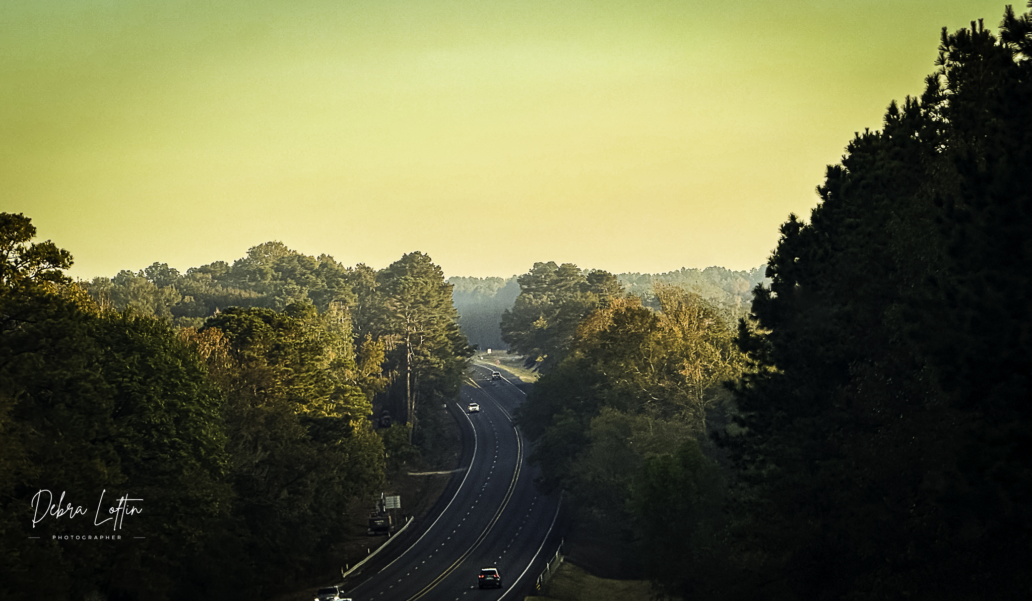 Embracing the Journey: Your Path Awaits – ©Beneath the Pines ...