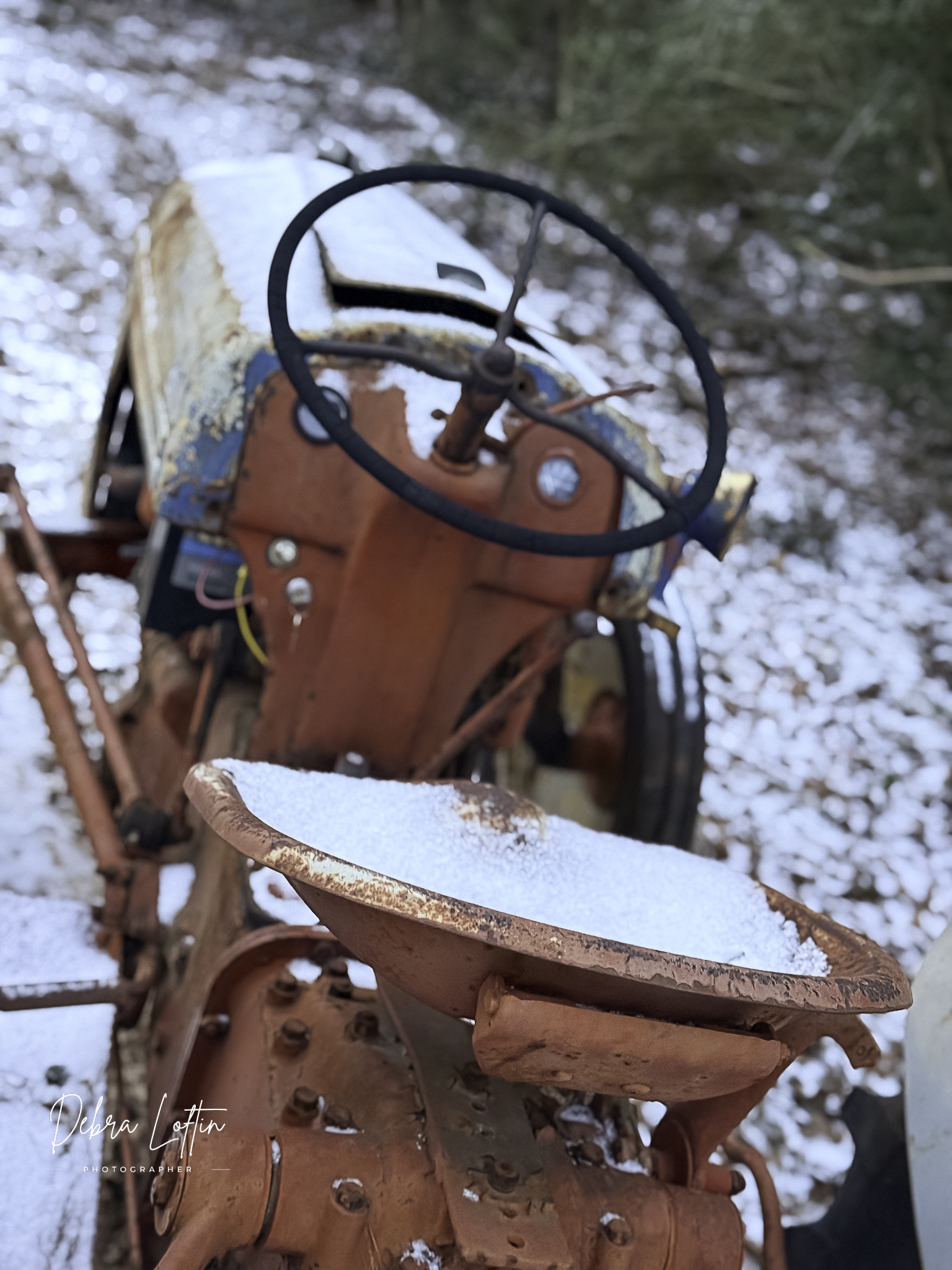 The Forgotten Tractor – ©Beneath the Pines Photography by Nikki
